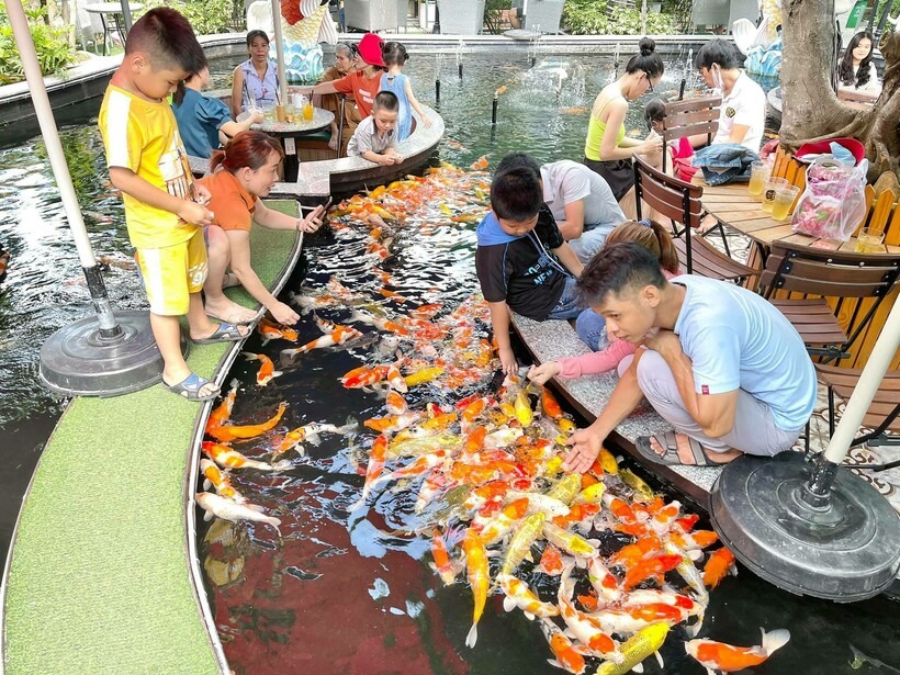 Looking for a Unique Dining Experience? This Vietnamese Café Lets You ...