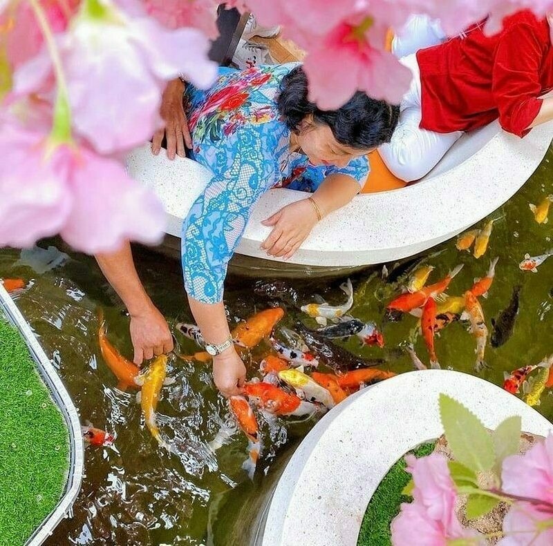 Looking for a Unique Dining Experience? This Vietnamese Café Lets You ...
