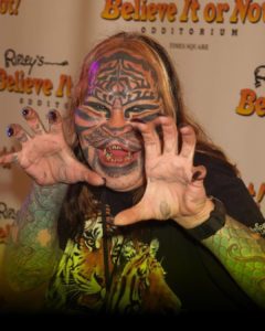«The Stalking Cat now and then!» Let’s shed light on the incredible ...
