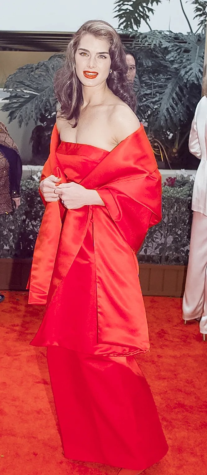 What Was She Thinking? In This Photo Brooke Shields Flat-Out Broke the ...